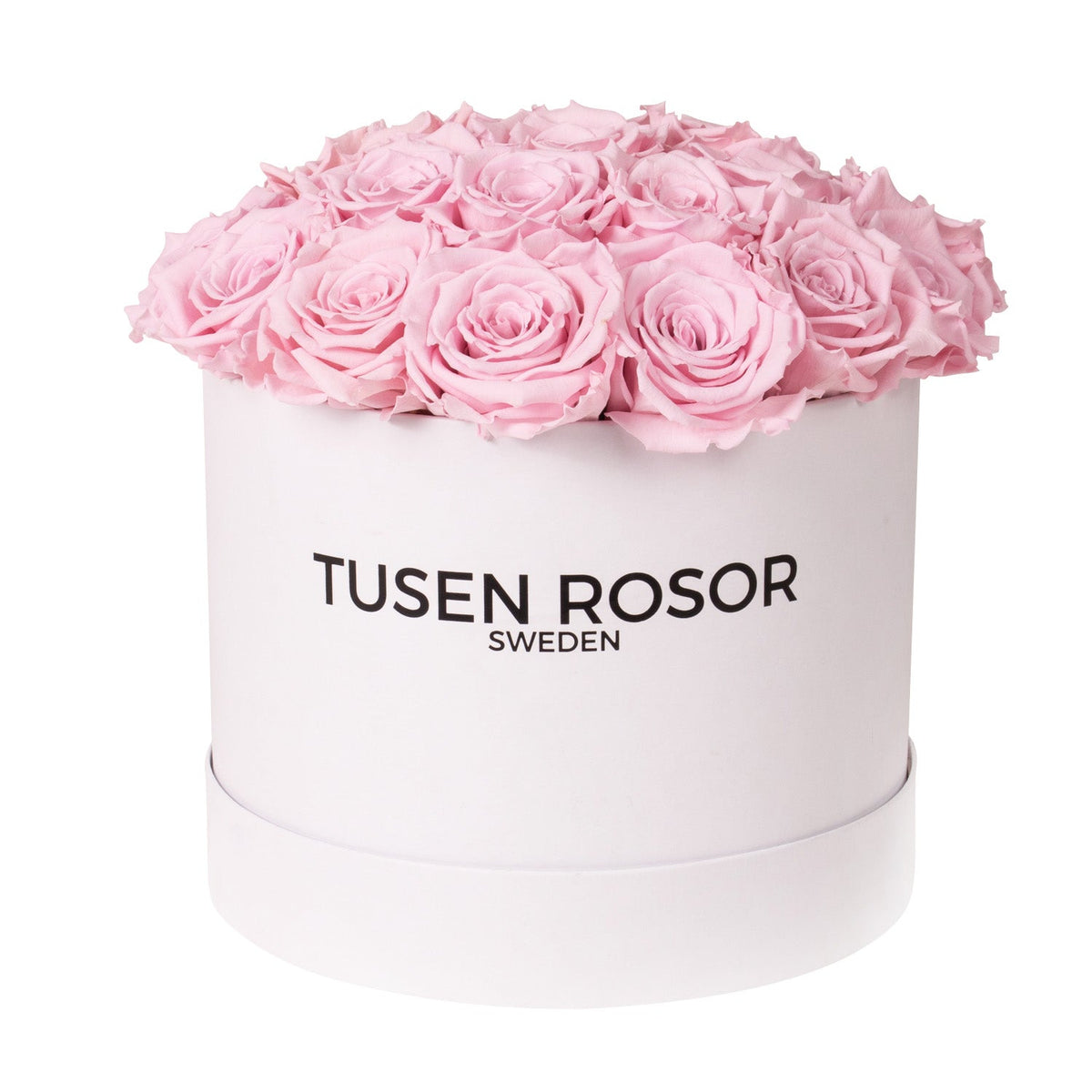 Hellrosa Infinity Rosen | Flowerbox | 20-23 Rosen | Tusen rosor ...